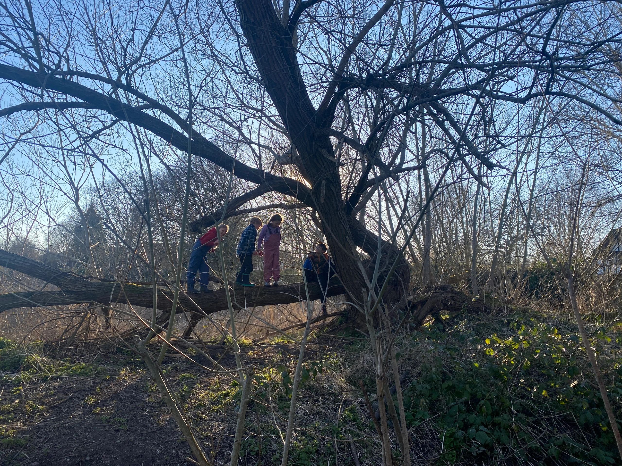 Risk Assessments | Farnham Forest School