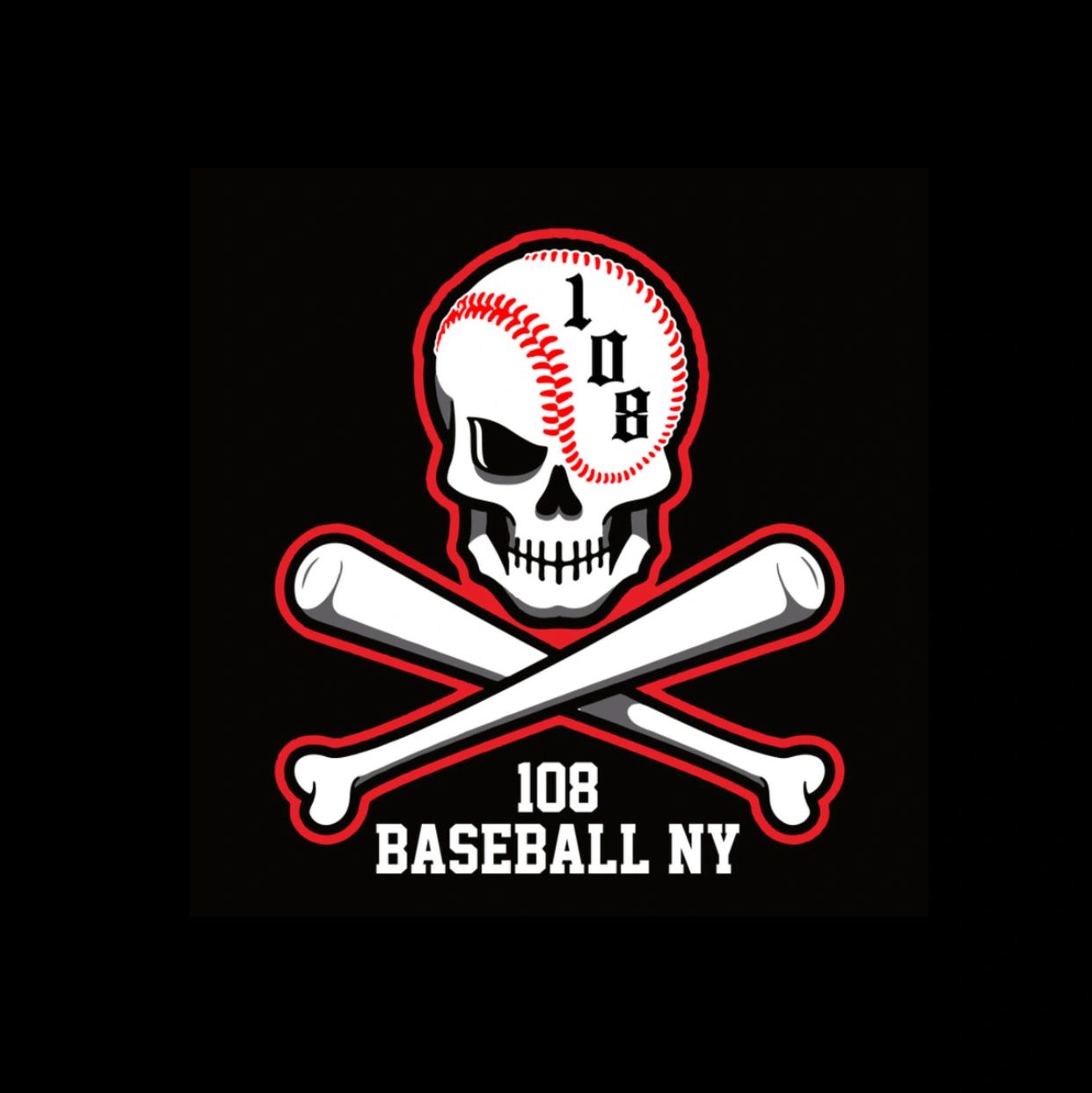 108baseballny.com