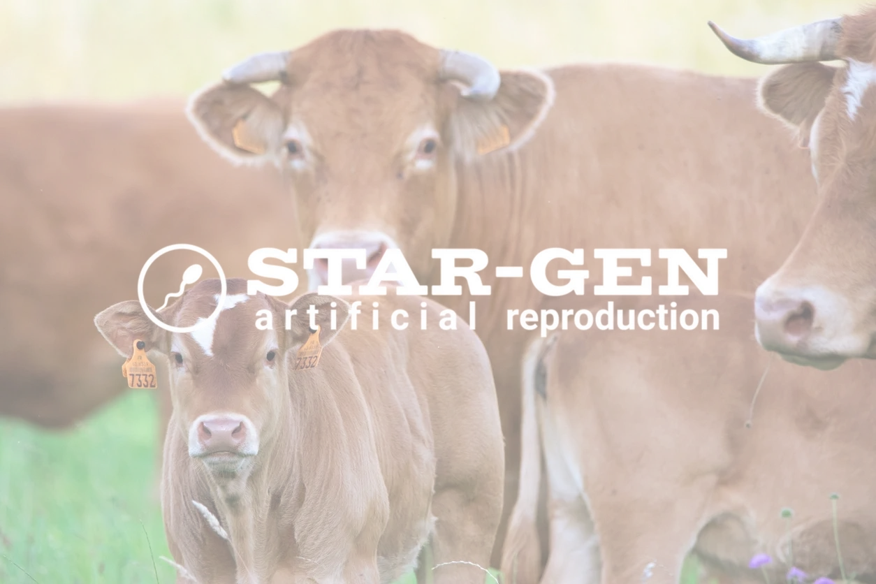 Artificial Insemination; Star-Gen Artificial Reproduction