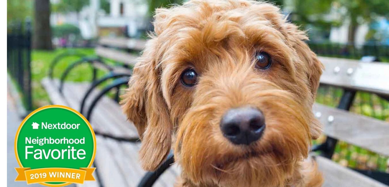 Welcome [troypetgrooming.com]