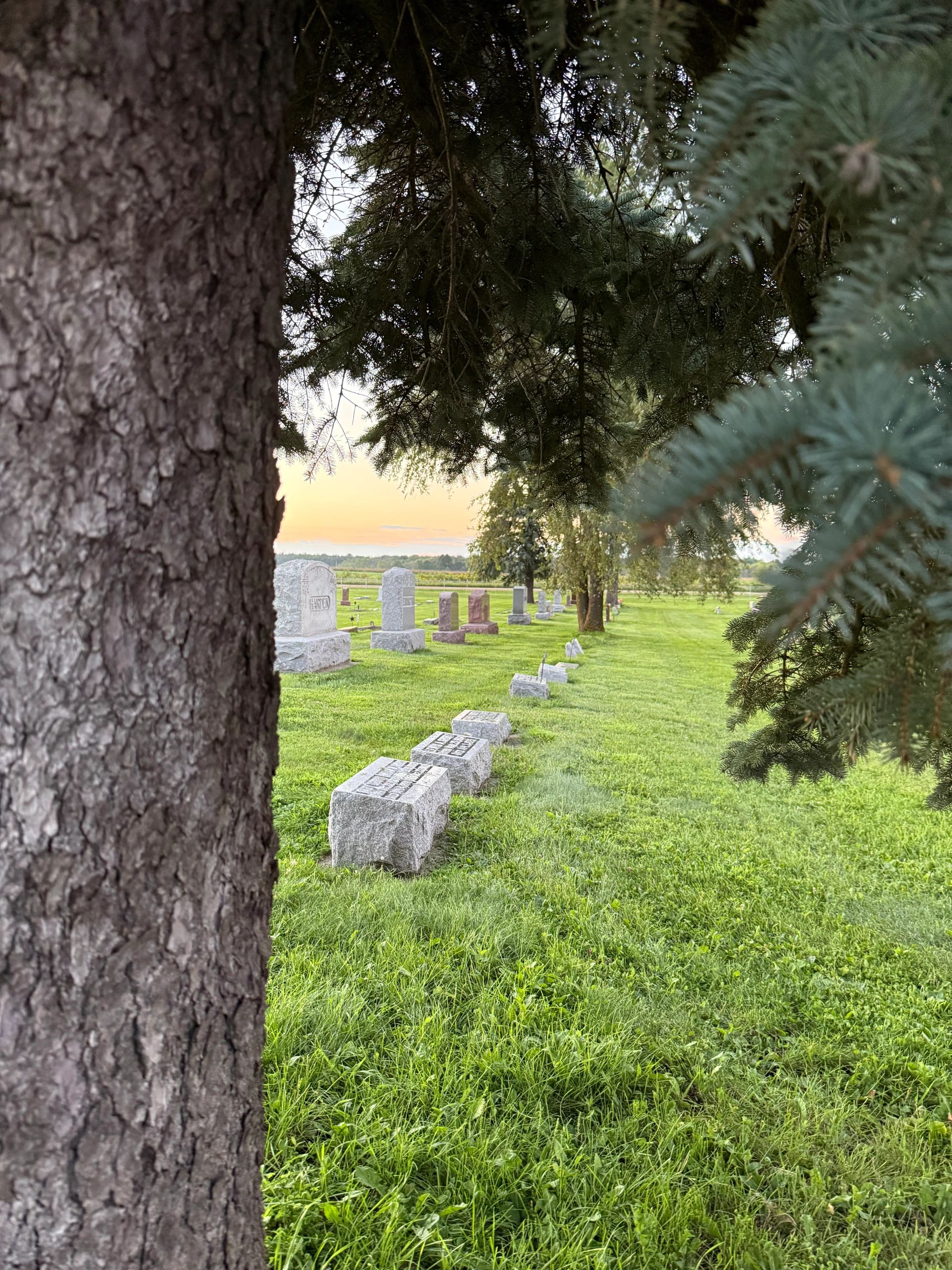Gravesite Care Services to Honor Your Loved Ones and Ancestors