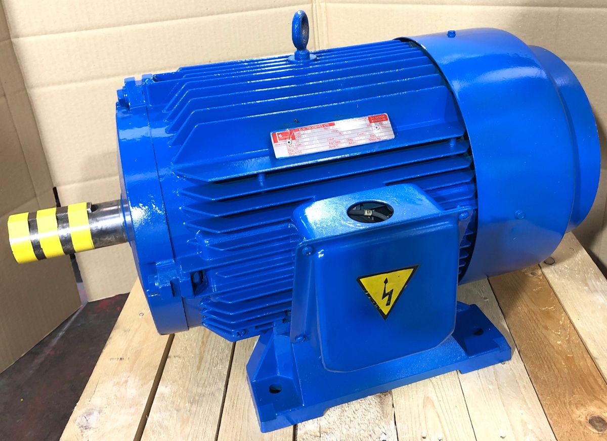 Electrodrives Alpak 22kW AC Induction Electric Motor 2925RPM 2-Pole 180 Frame (D180M) B3 Foot 415v