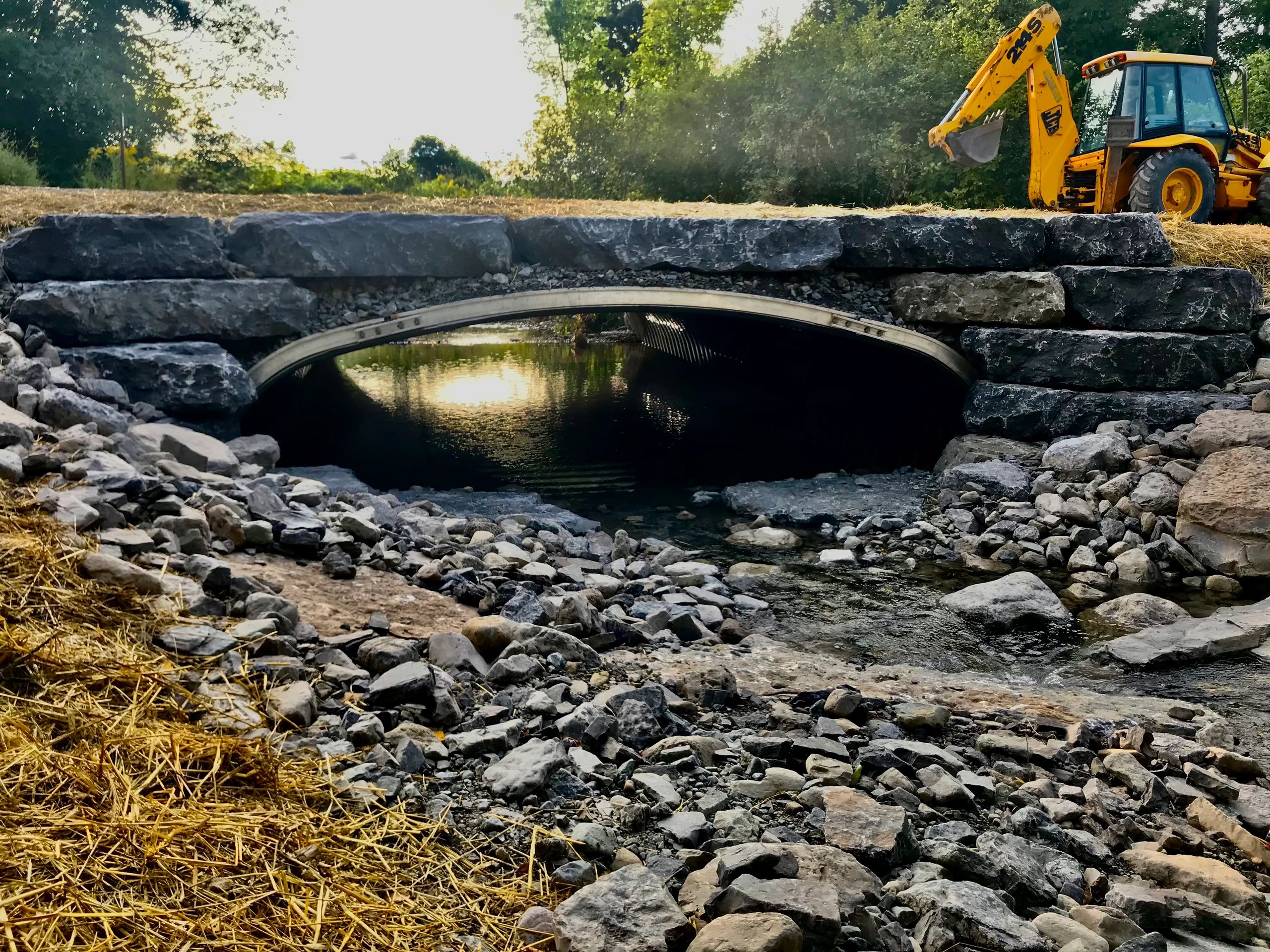 Raised Septic Systems | carterexcavation.com