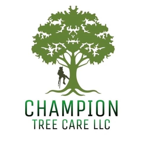 Affordable Tree Service - Champion Tree Care LLC
