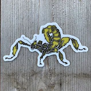 Australian Giant Prickly Stick Insect Sticker