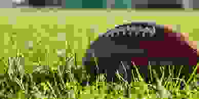 Youth | Decatur-Adams County Parks & Recreation