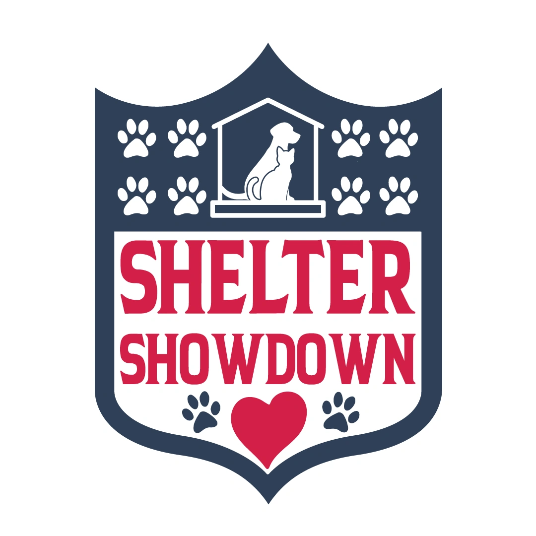 Online payment @ Shelter Showdown