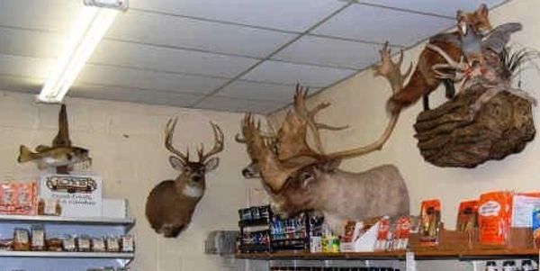 Wild Game Processing