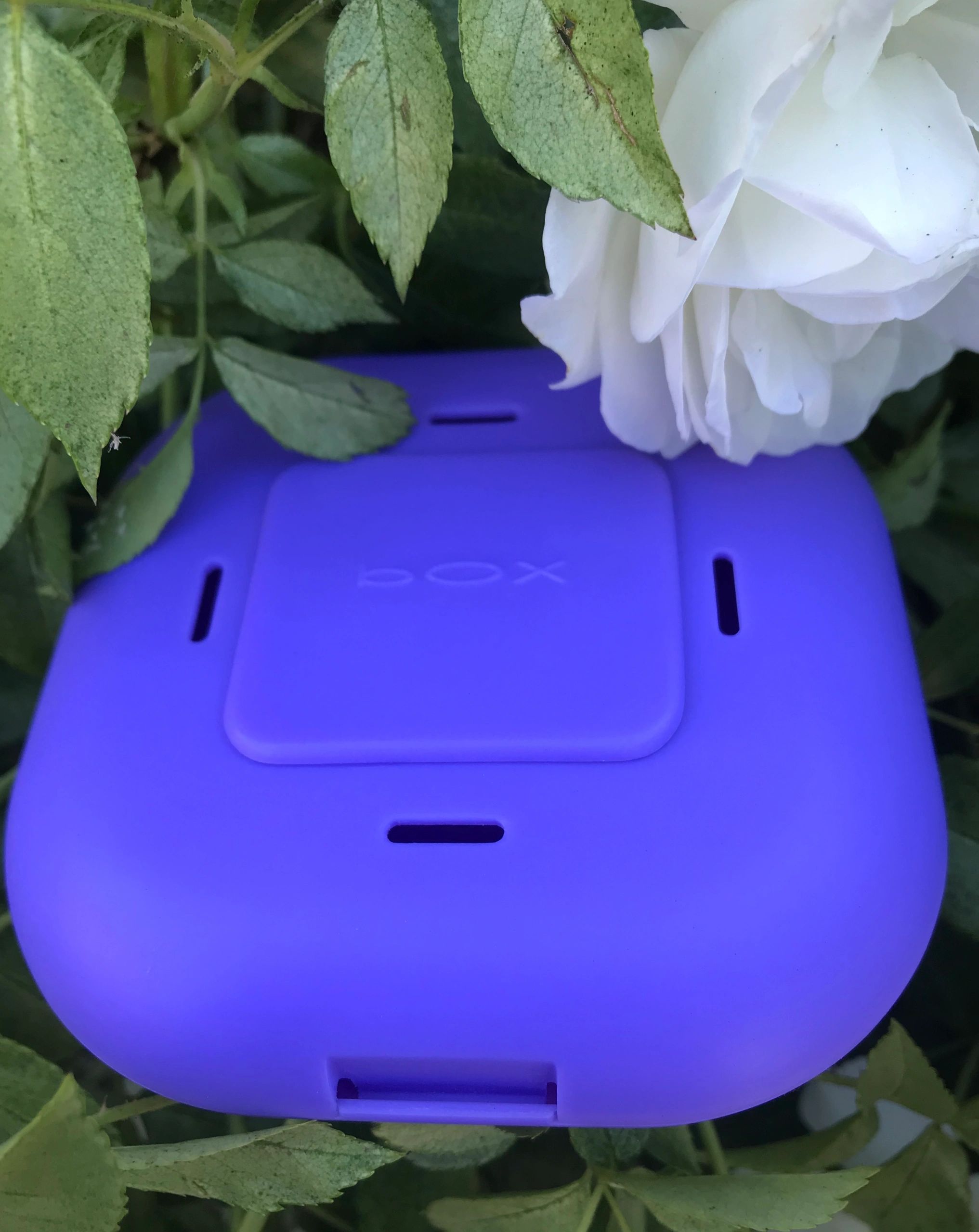 Pessary Box - Pessary Ring, Pessary Storage, Pessary