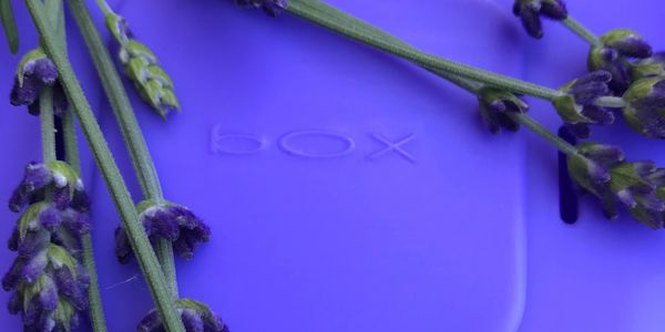 Pessary Box - Pessary Ring, Pessary Storage, Pessary