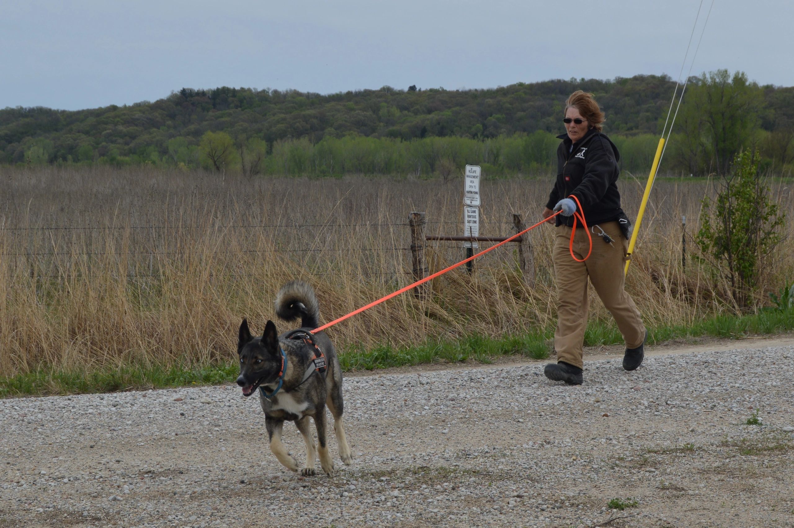 Lost Pet Professionals - Lost Dog Specialists, Professional Tracking Dogs
