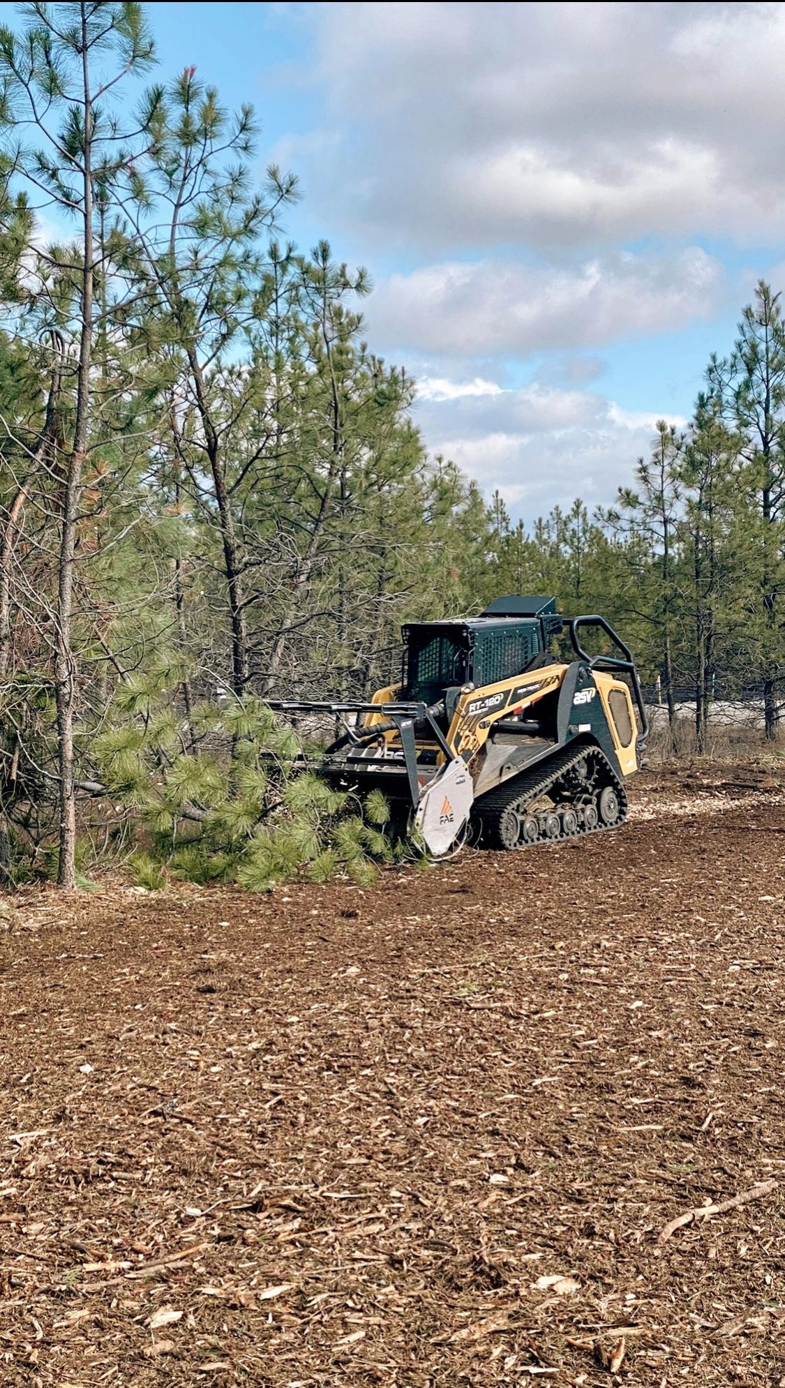 Home [mtnviewforestry.com]