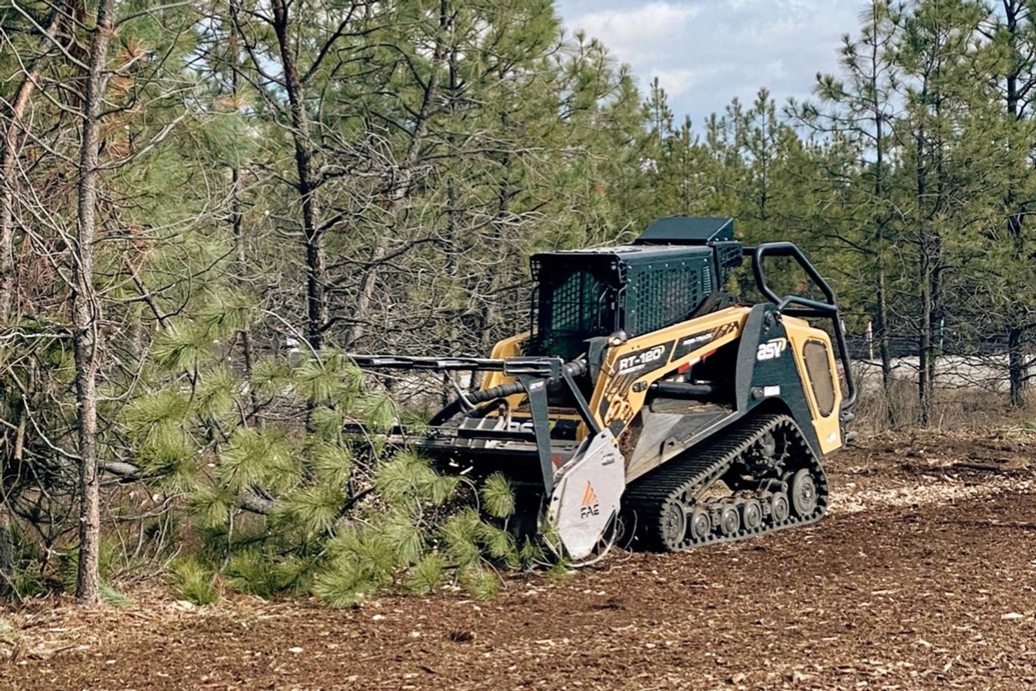 Home [mtnviewforestry.com]