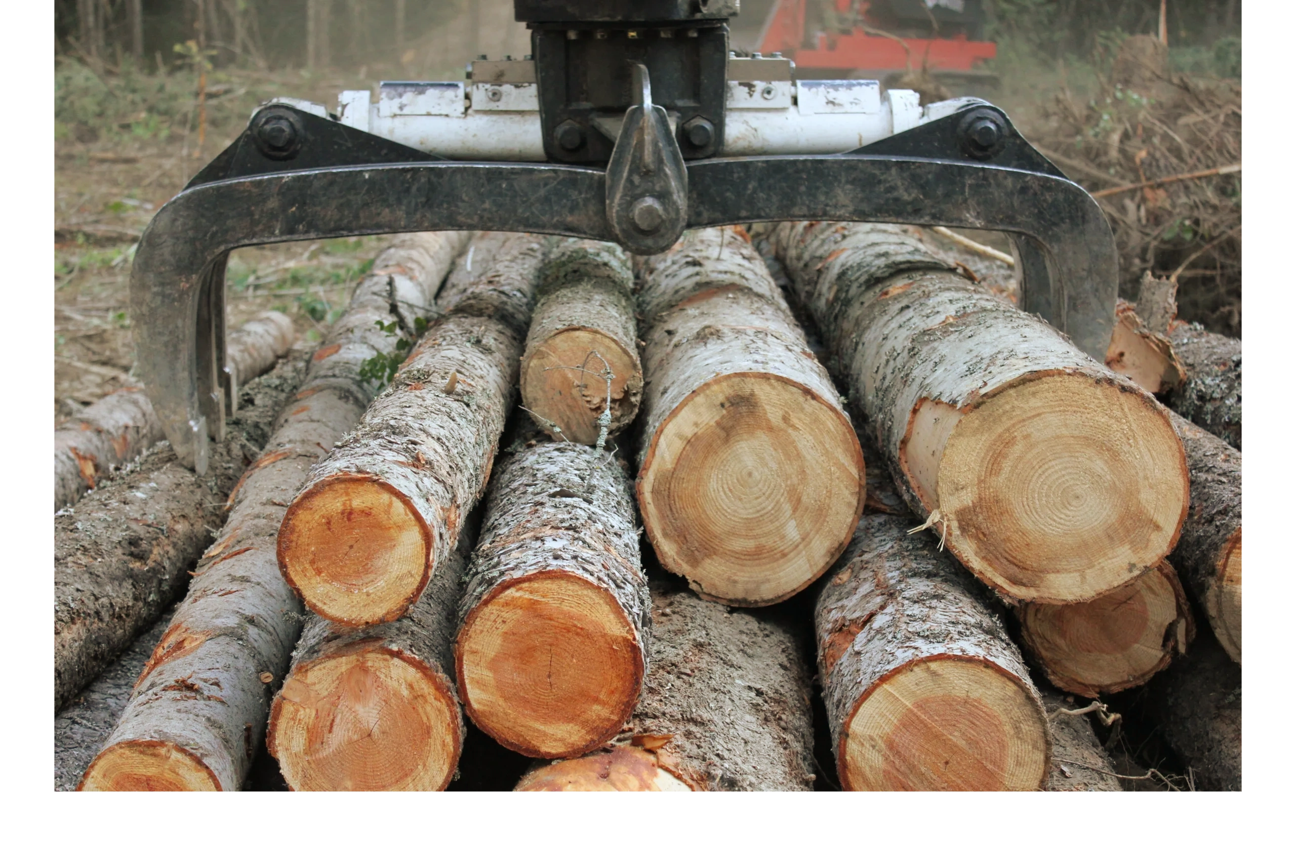 Forestry Mulching - Mountain View Forestry
