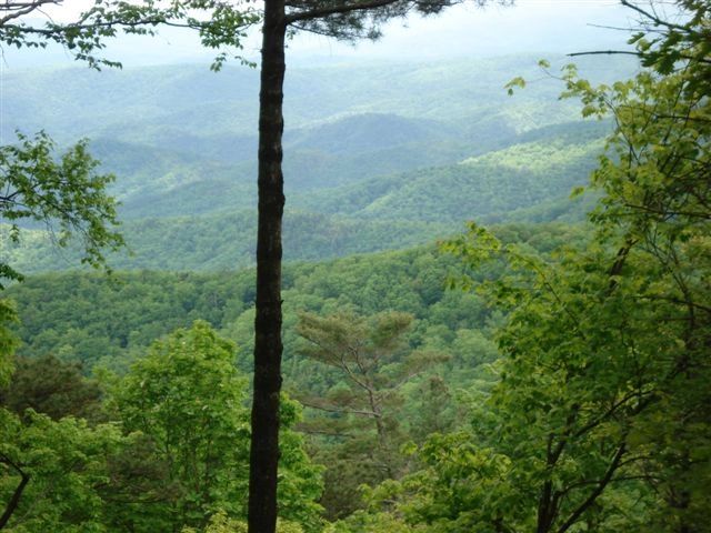 Home Page [myscenicmountainview.com]