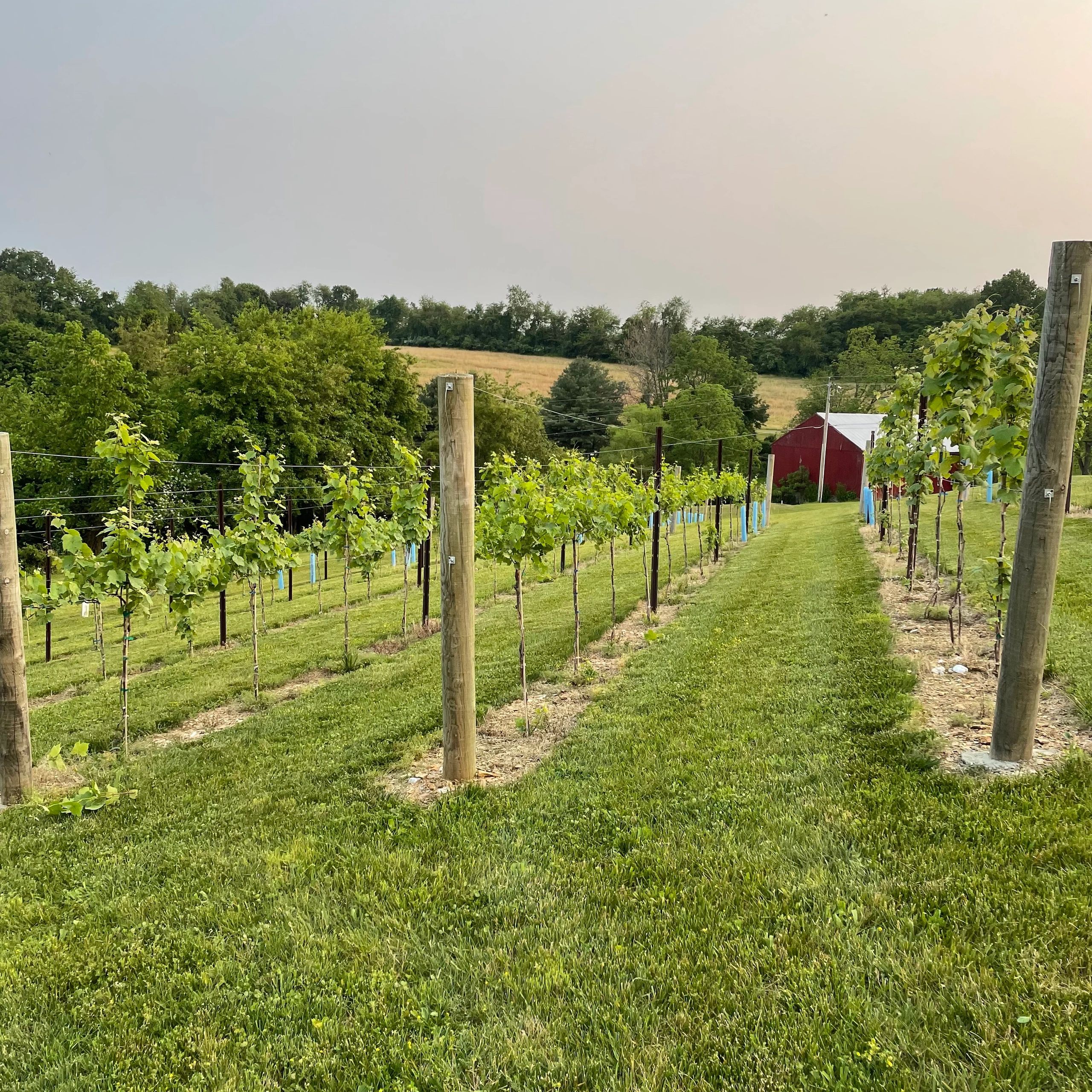 Sam Hill Springs Winery