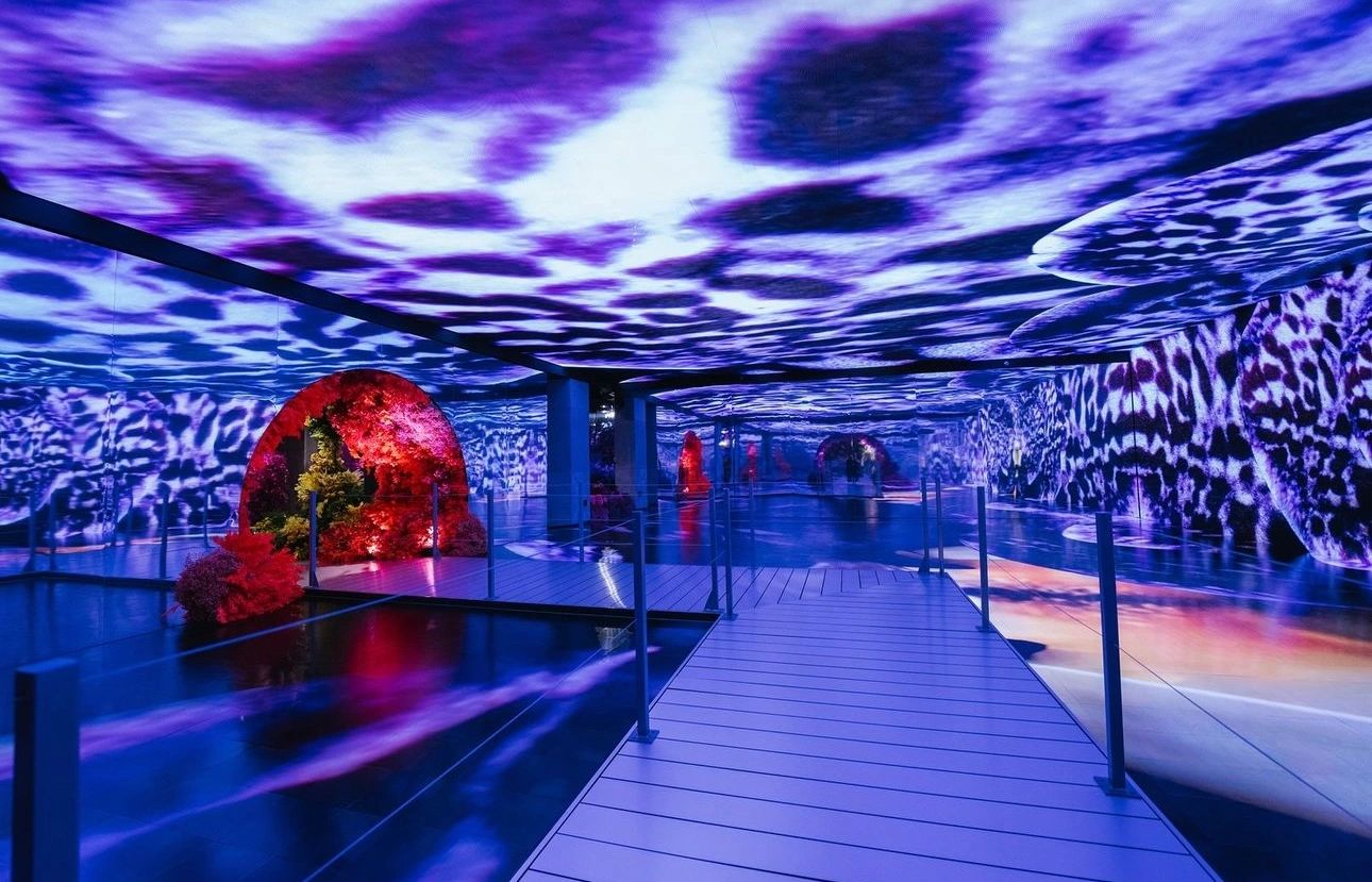 Sarah Unger Portfolio