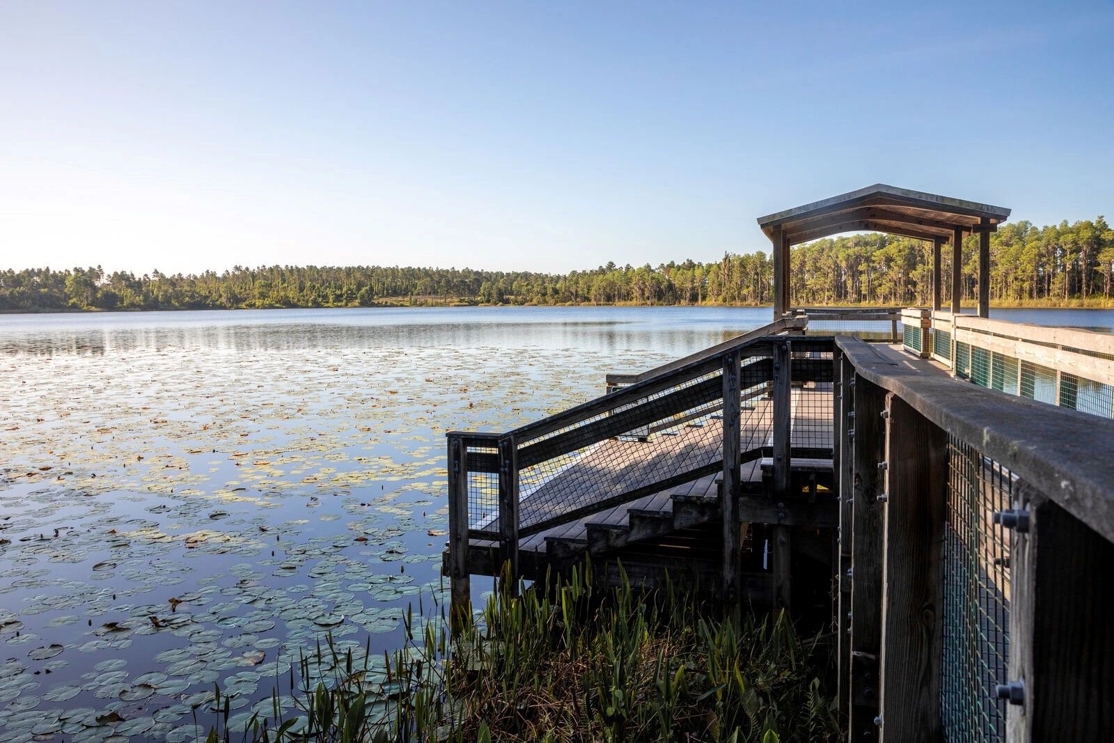 Hispanics of Lake County Association