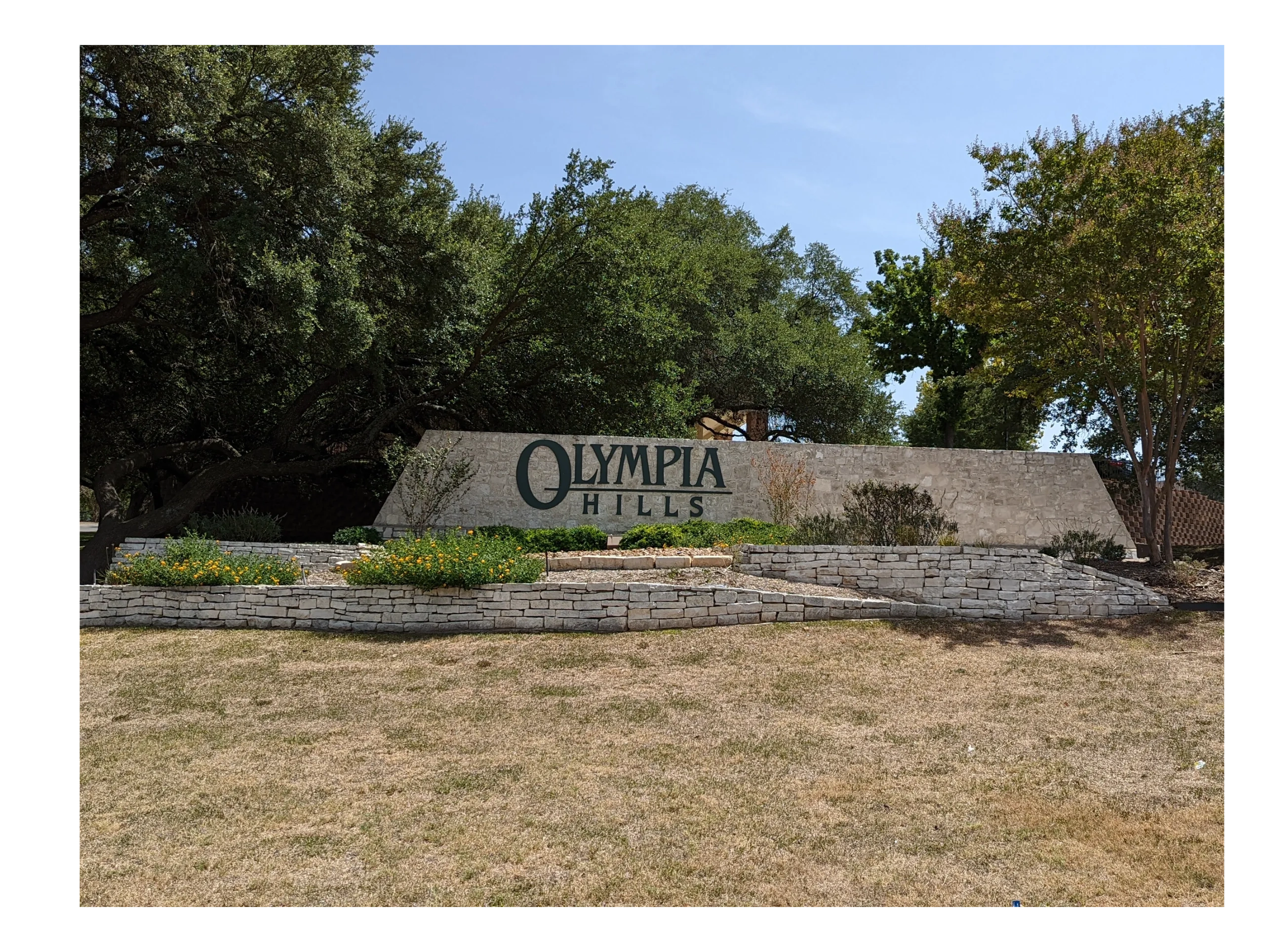 HOA Property Management Services in Olympia