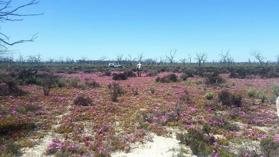 Services | Flora, Flow and Floodplains