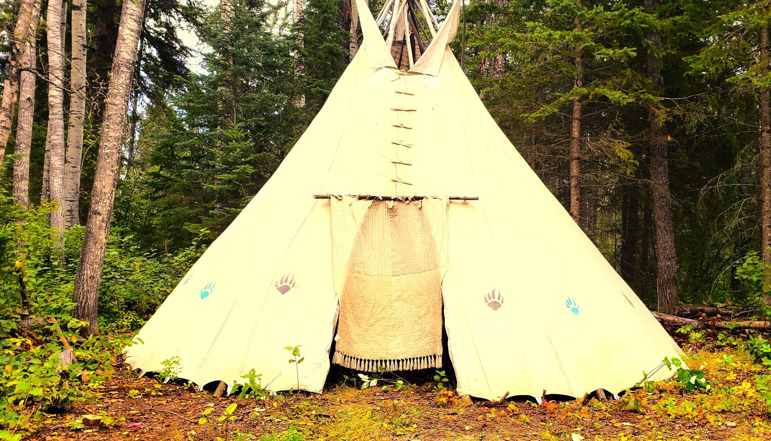 Expert Consultation with Indigenous Peoples