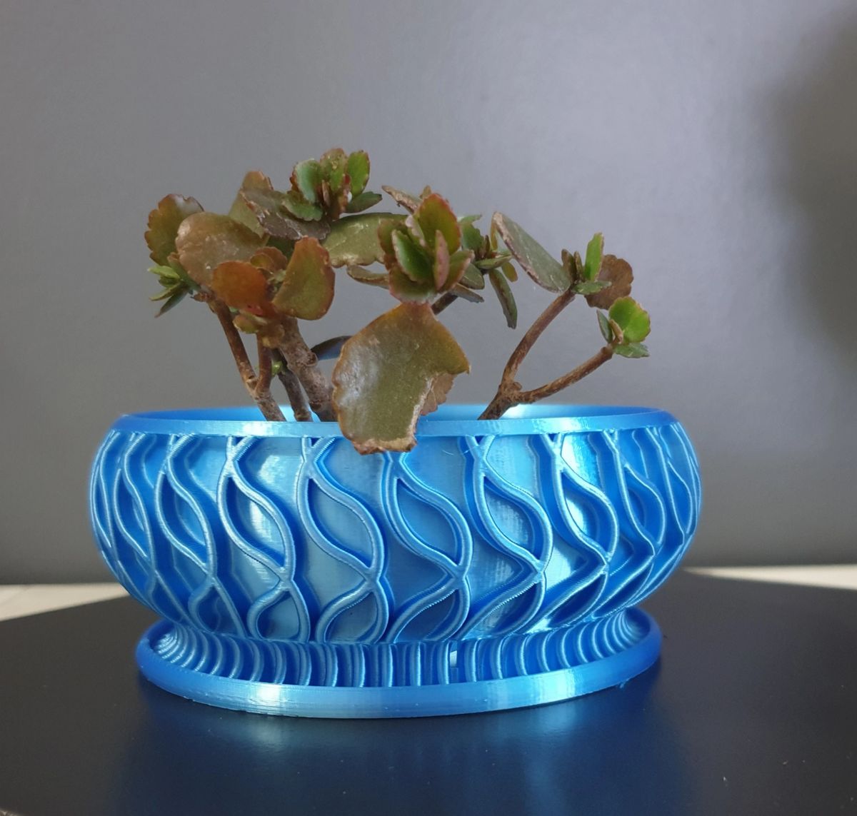 3D Printed Pot Planter - Leaf Pattern - Succulents Indoor Bonsai Plants