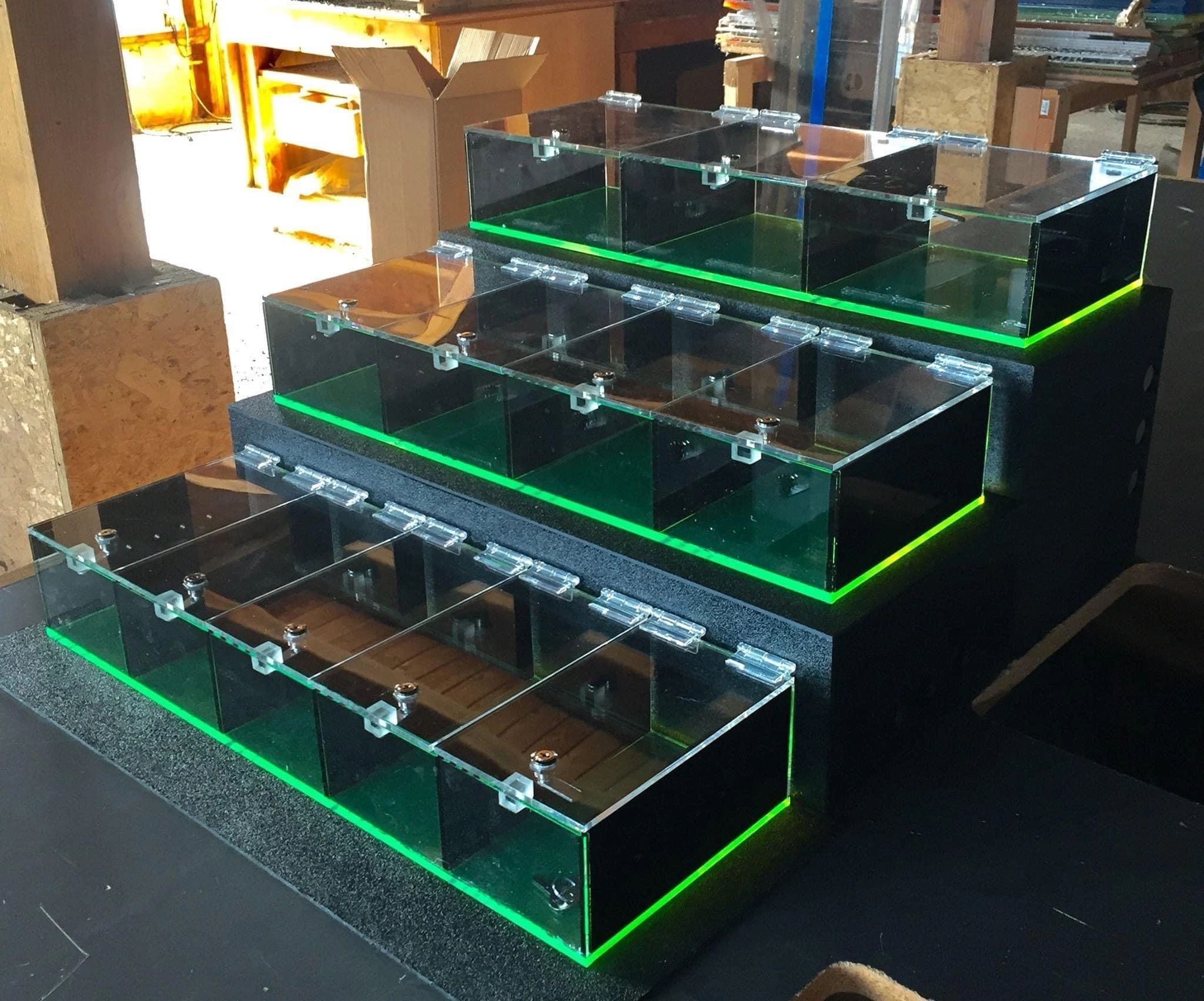 Acrylic Reptile Displays