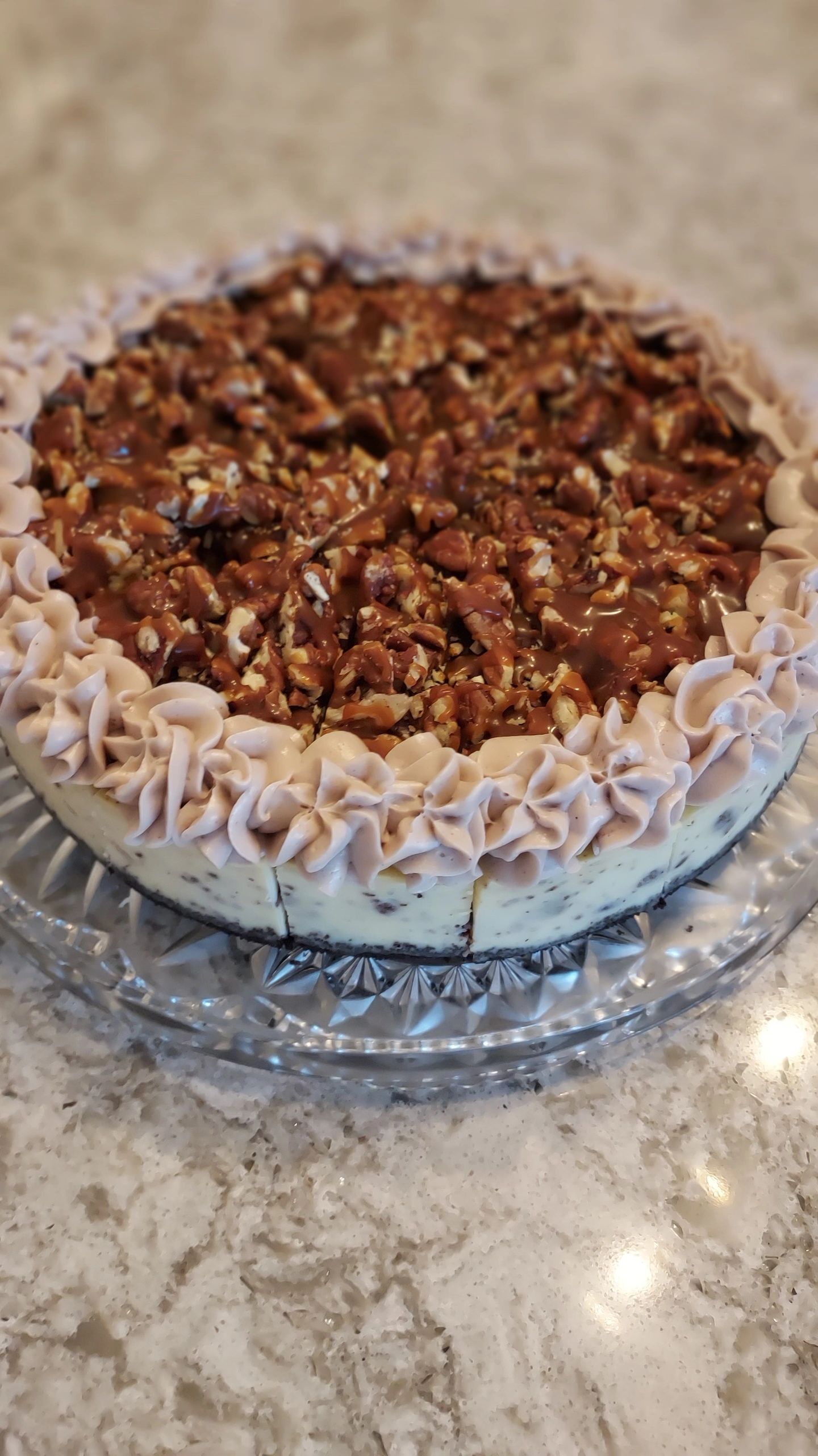 Chatterbox Cheesecake