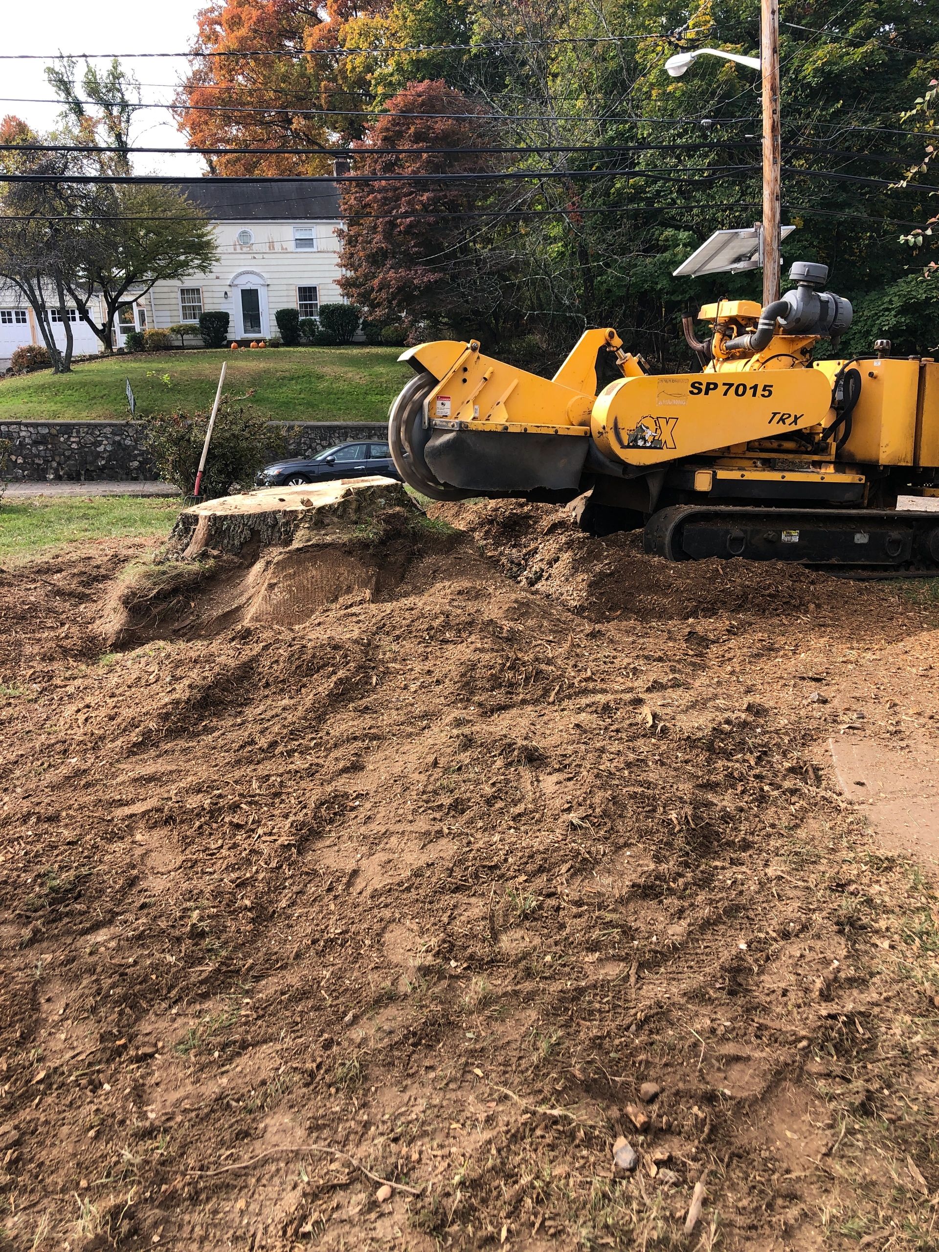 USA Pro Tree Service LLC