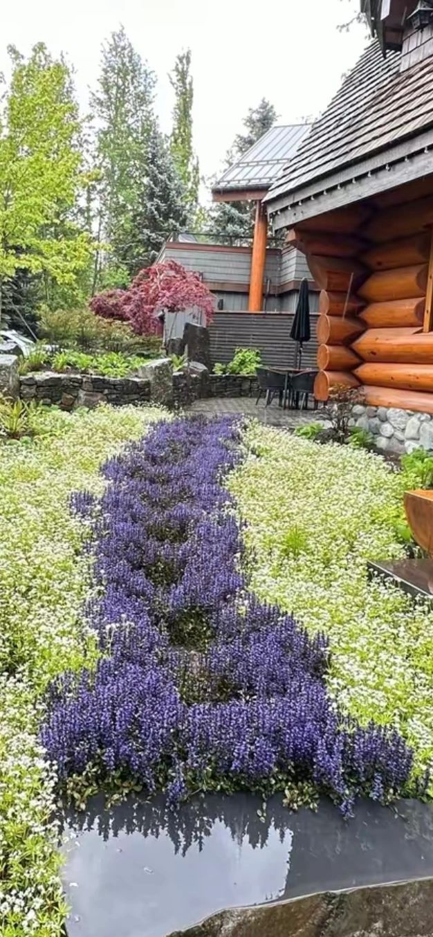 Landscaping - Full service landscape design and construction company.