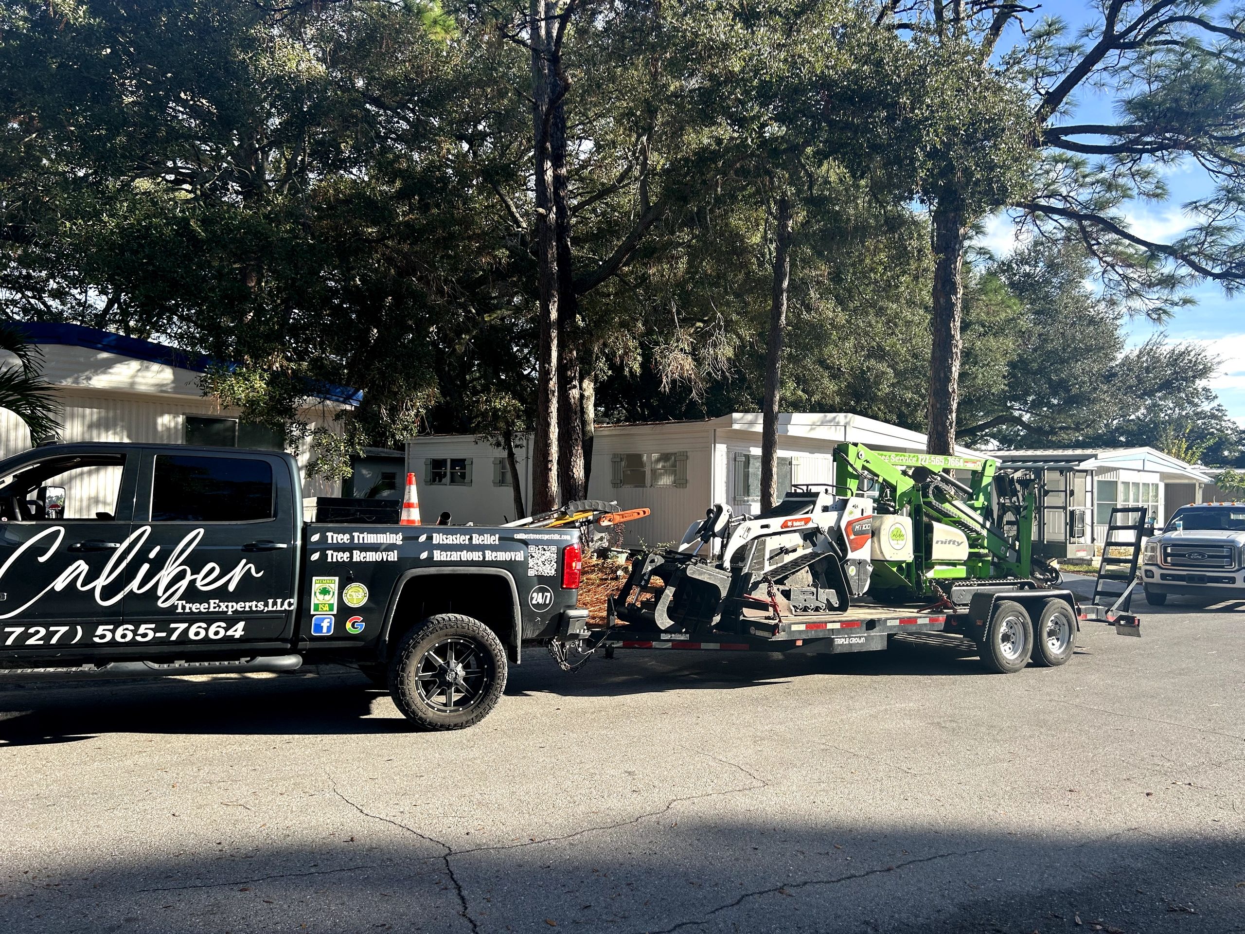 Expert Tree Removal Services | Caliber Tree Experts