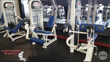 KISSIMMEE MUSCLE - Gym in Kissimmee - Orlando, Florida