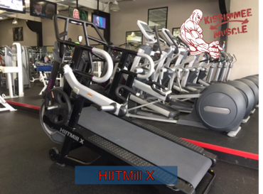 Equipment | KISSIMMEE MUSCLE GYM