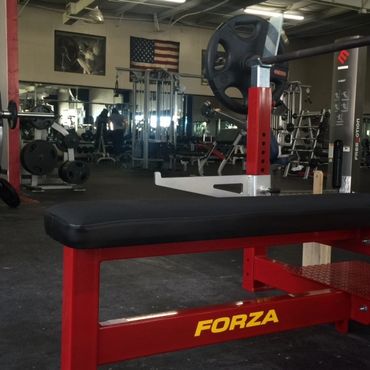 Equipment | KISSIMMEE MUSCLE GYM