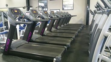 KISSIMMEE MUSCLE - Gym in Kissimmee - Orlando, Florida