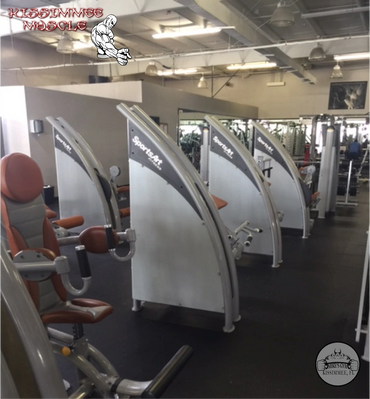 KISSIMMEE MUSCLE - Gym in Kissimmee - Orlando, Florida