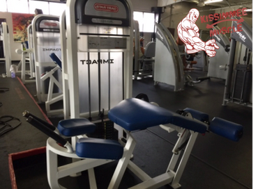 Equipment | KISSIMMEE MUSCLE GYM