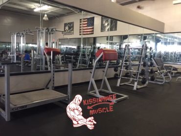 Equipment | KISSIMMEE MUSCLE GYM