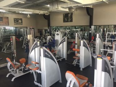 KISSIMMEE MUSCLE - Gym in Kissimmee - Orlando, Florida