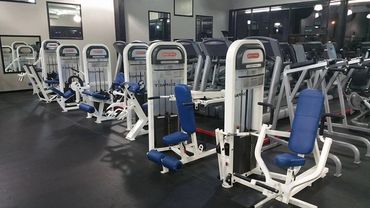 KISSIMMEE MUSCLE - Gym in Kissimmee - Orlando, Florida