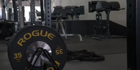 KISSIMMEE MUSCLE - Gym in Kissimmee - Orlando, Florida