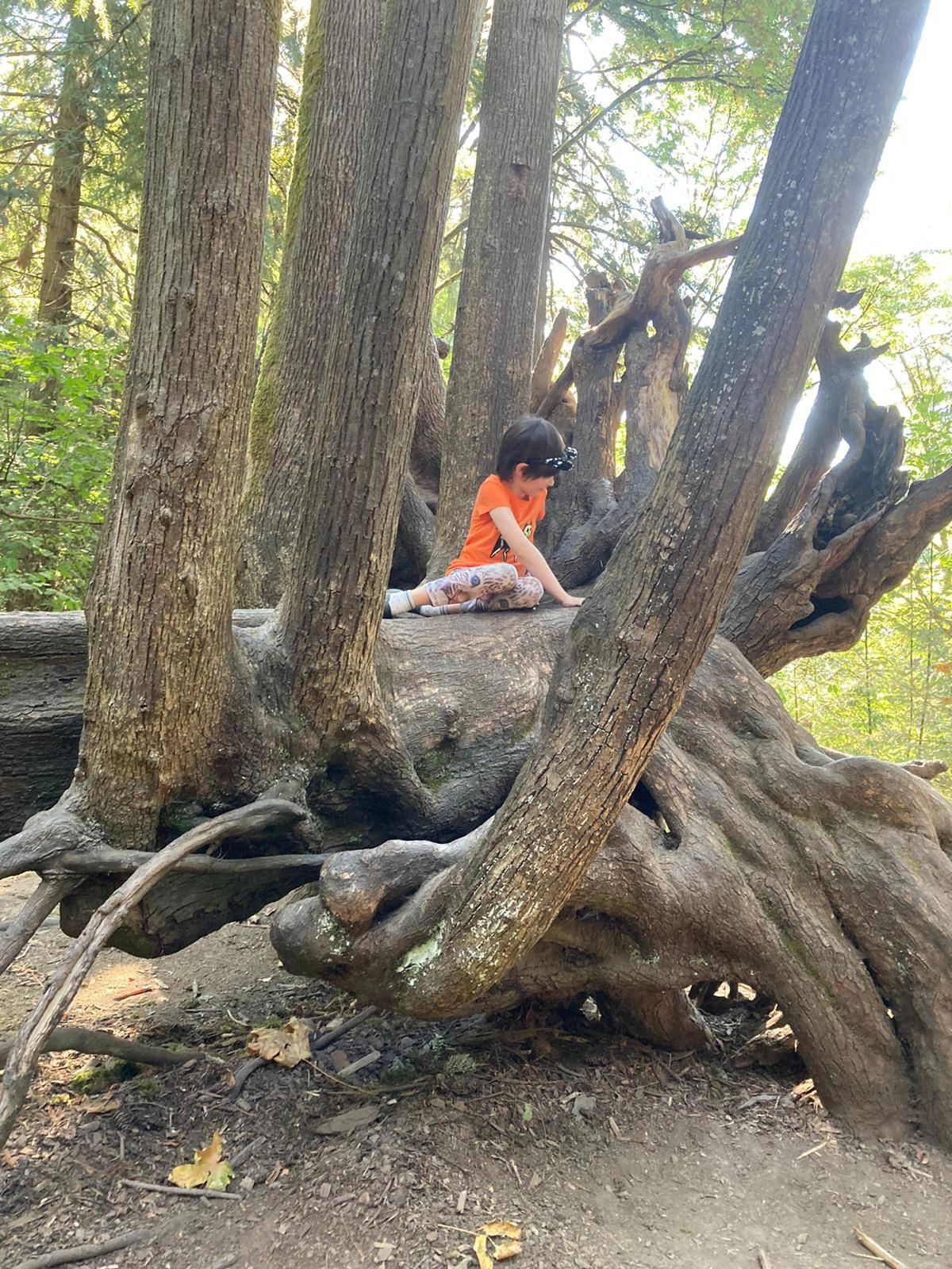 Where do children play today?