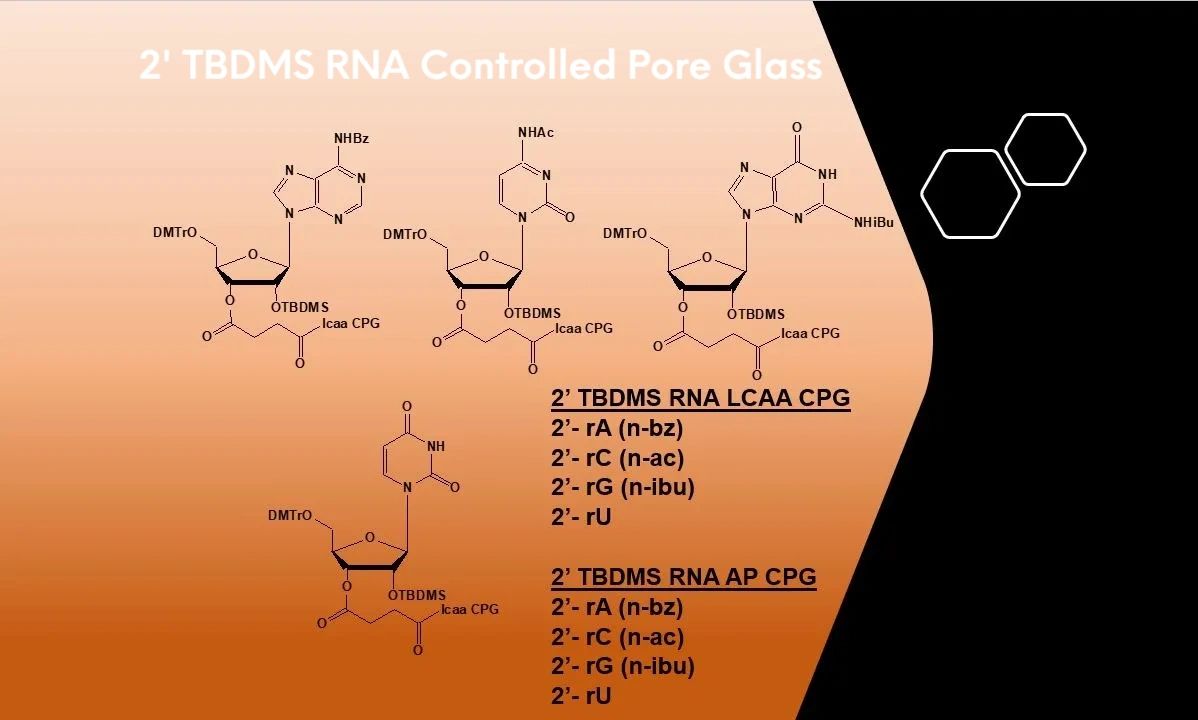RNA Controlled Pore Glass