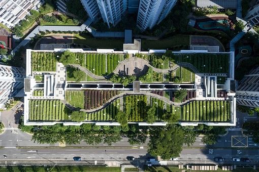 The rise of green architecture