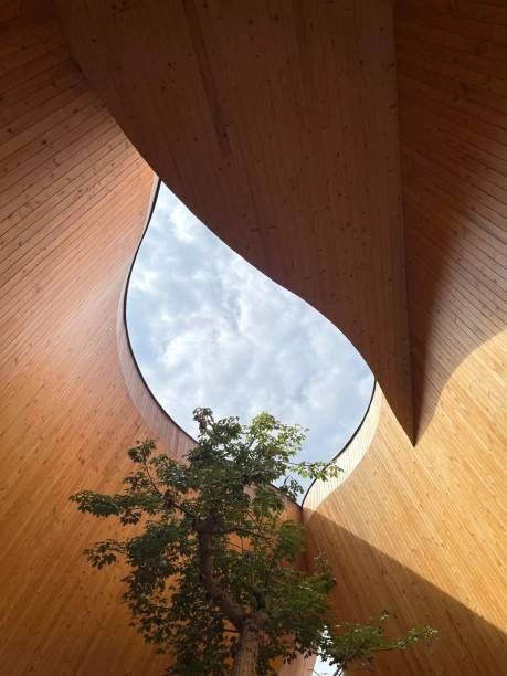 "Tree-Centric Design – Building with Nature, Not Over It"