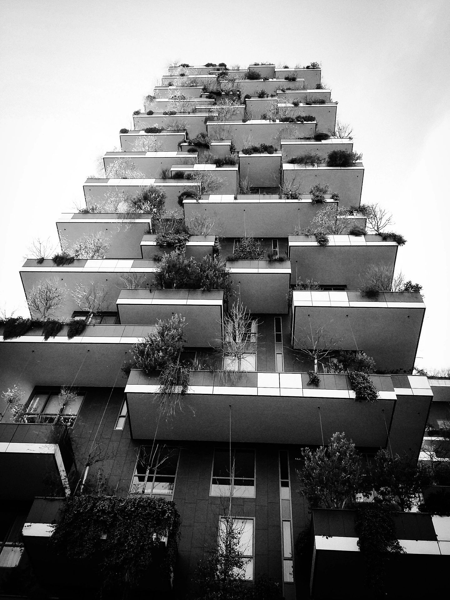 Advantages of Vertical Living: The future of housing.