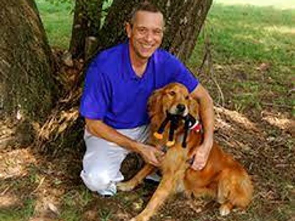 Best Vet Near Me | Hunters Glen Veterinary Hospital