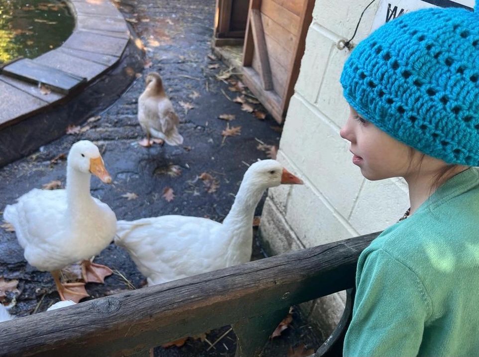 A different type of education