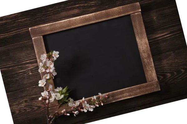 Blank Slate Enterprises