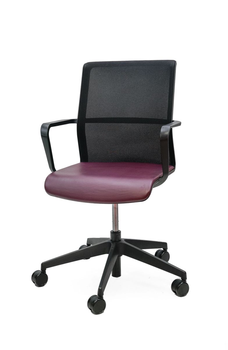 ALLERMUIR SENATOR CIRCO CONFERENCE CHAIR